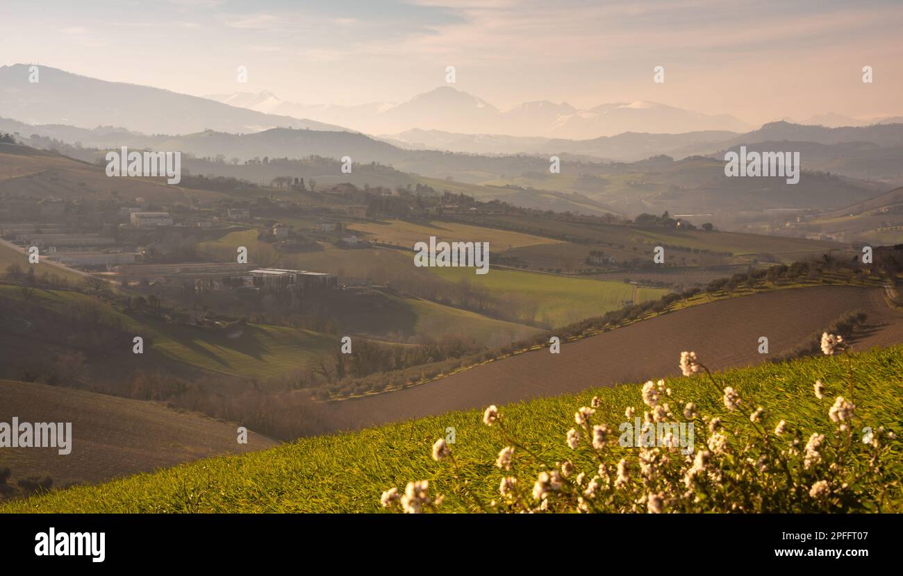 Countryside landscape in autumn, agriculture fields among hills Stock ...
