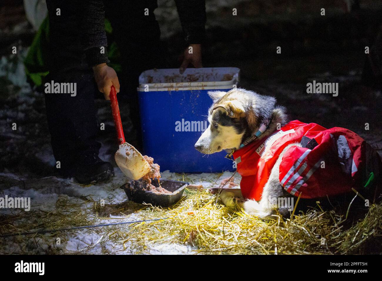 No 20230313.Kristoffer Halvorsen at checkpoint Neiden under 1200km in ...