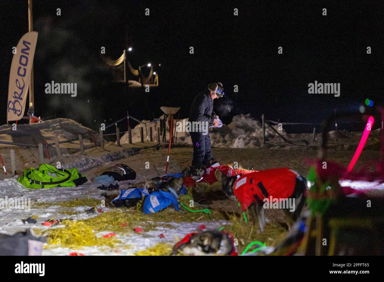 20230313 hi-res stock photography and images - Alamy