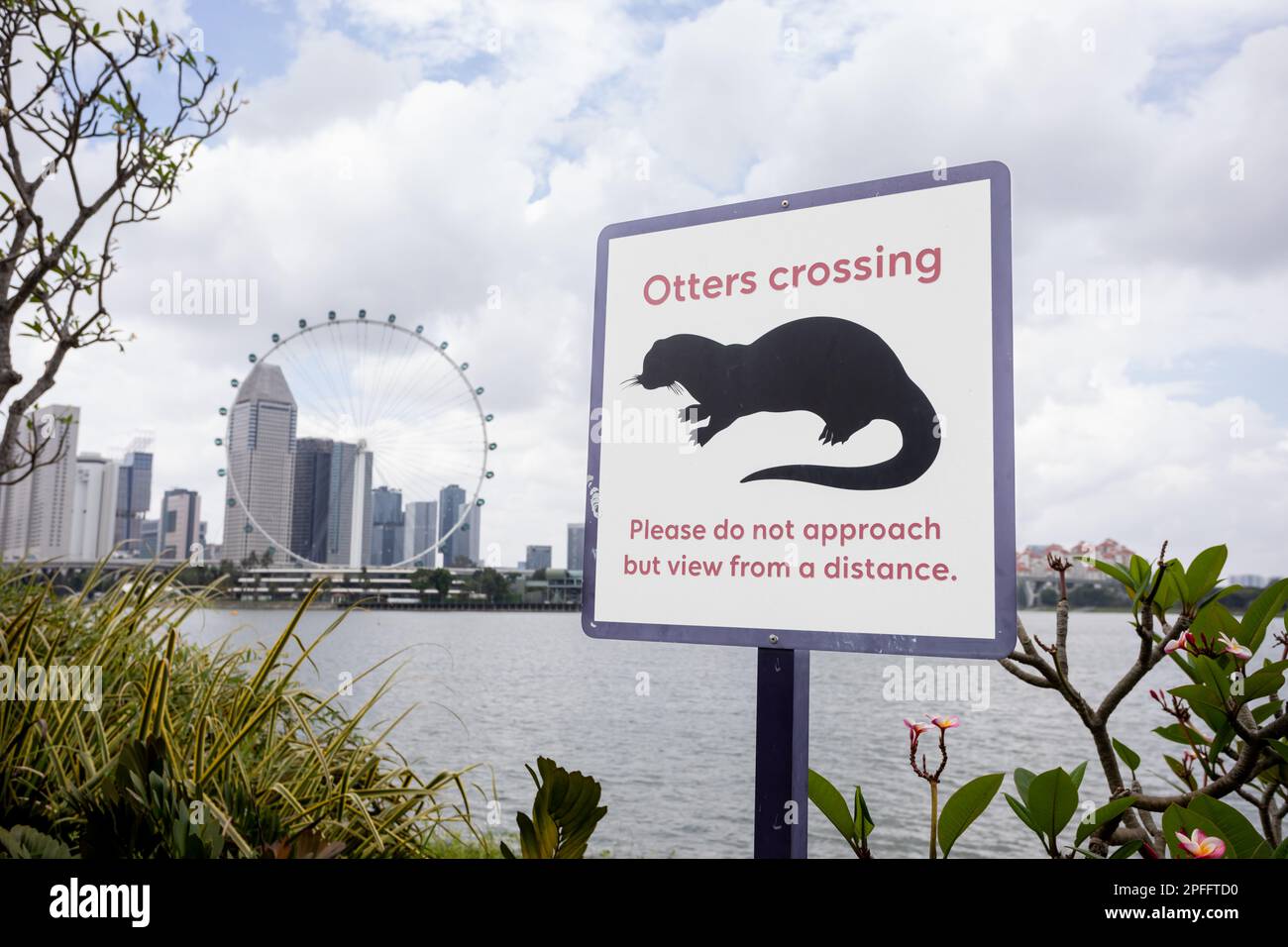 Otter Crossing Sign 8 Eyebrow Raising Animal Crossing Signs From