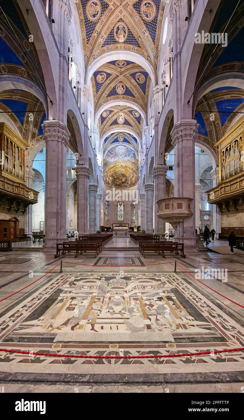 interior shot of Cathedral San Martino of Lucca, Duomo di San Martino ...