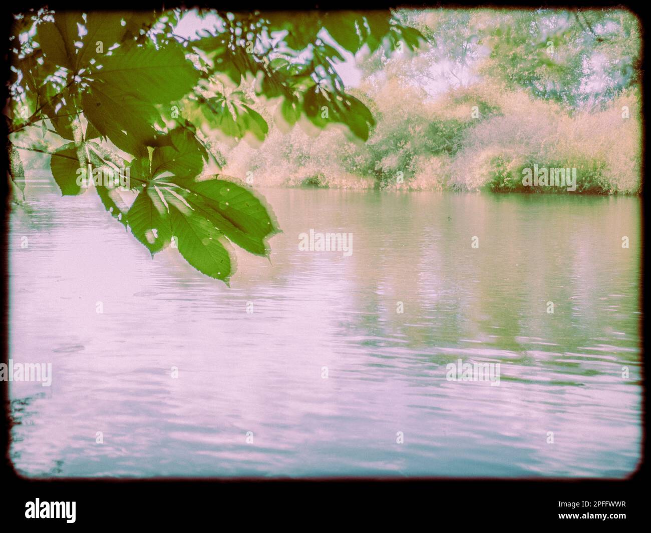 Caversham Lakes, Natural Area, River Thames, Reading, Berkshire ...