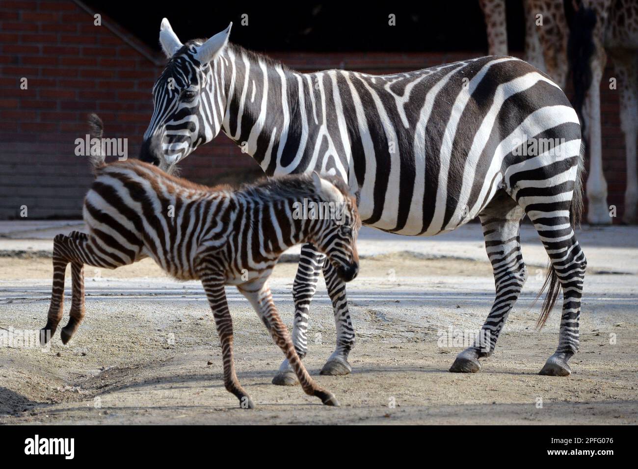Josef vagner hi-res stock photography and images - Alamy