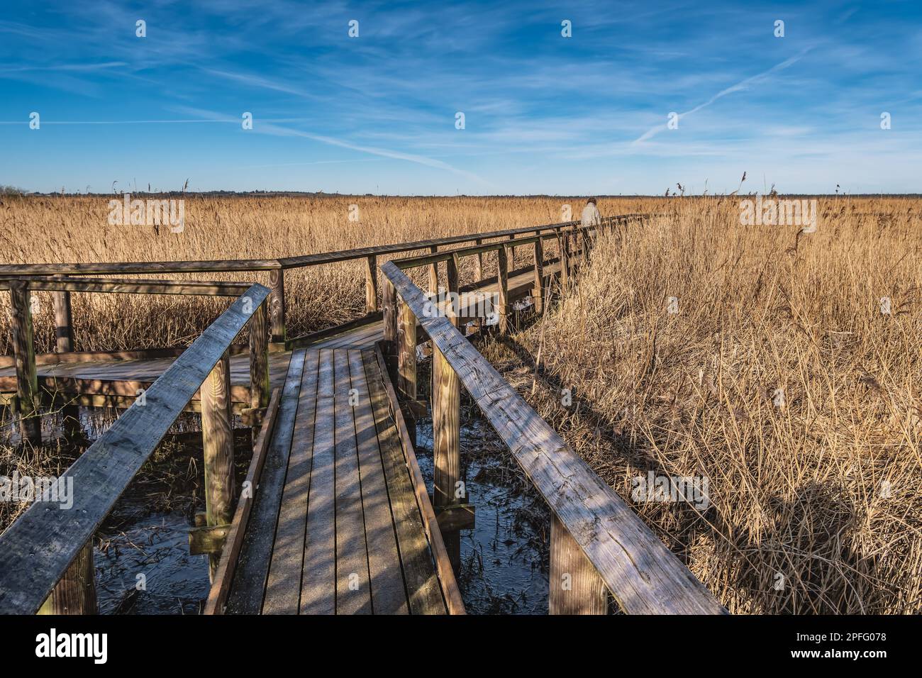 Protected nature wildlife reserve Vejlerne in North West Denmark Stock ...