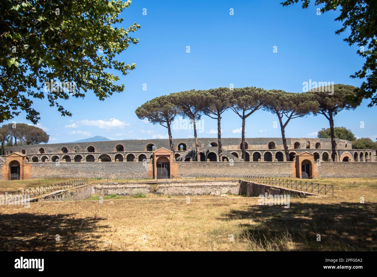 The ruins of the roman forum are lined with trees and blue sky in the ...