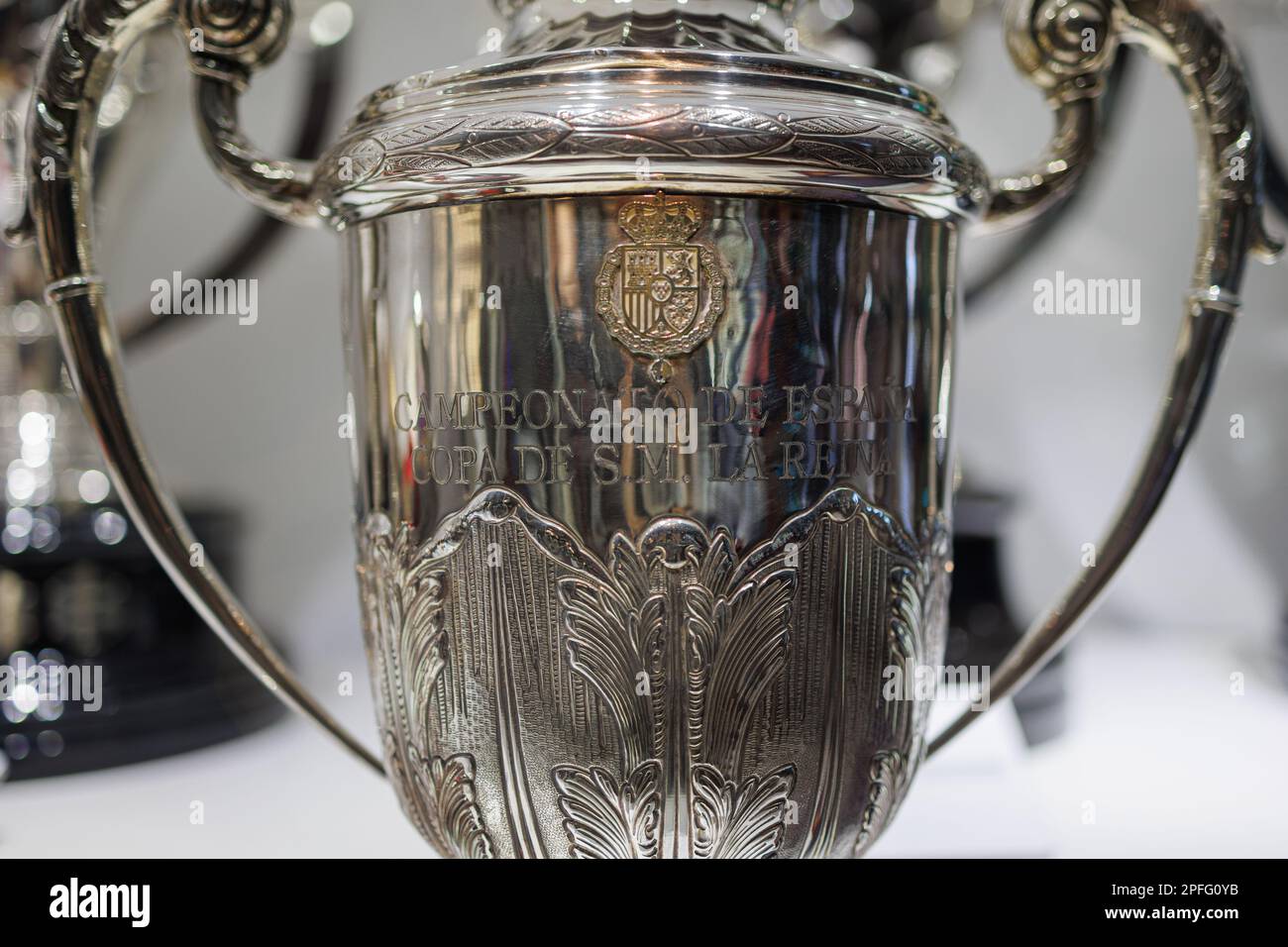Cup Symbolizing Victory in a Competition for Barcelona Football Club ...
