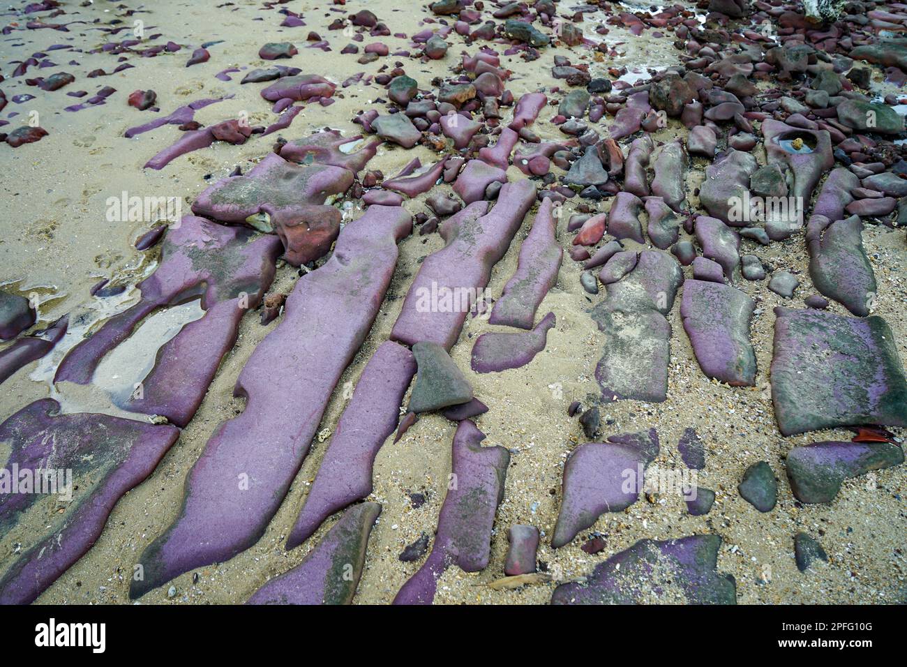 Flat purple on a pattern on the sandy beach Stock Photo - Alamy