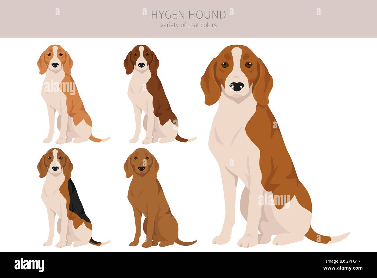 Scent hunting Stock Vector Images - Alamy