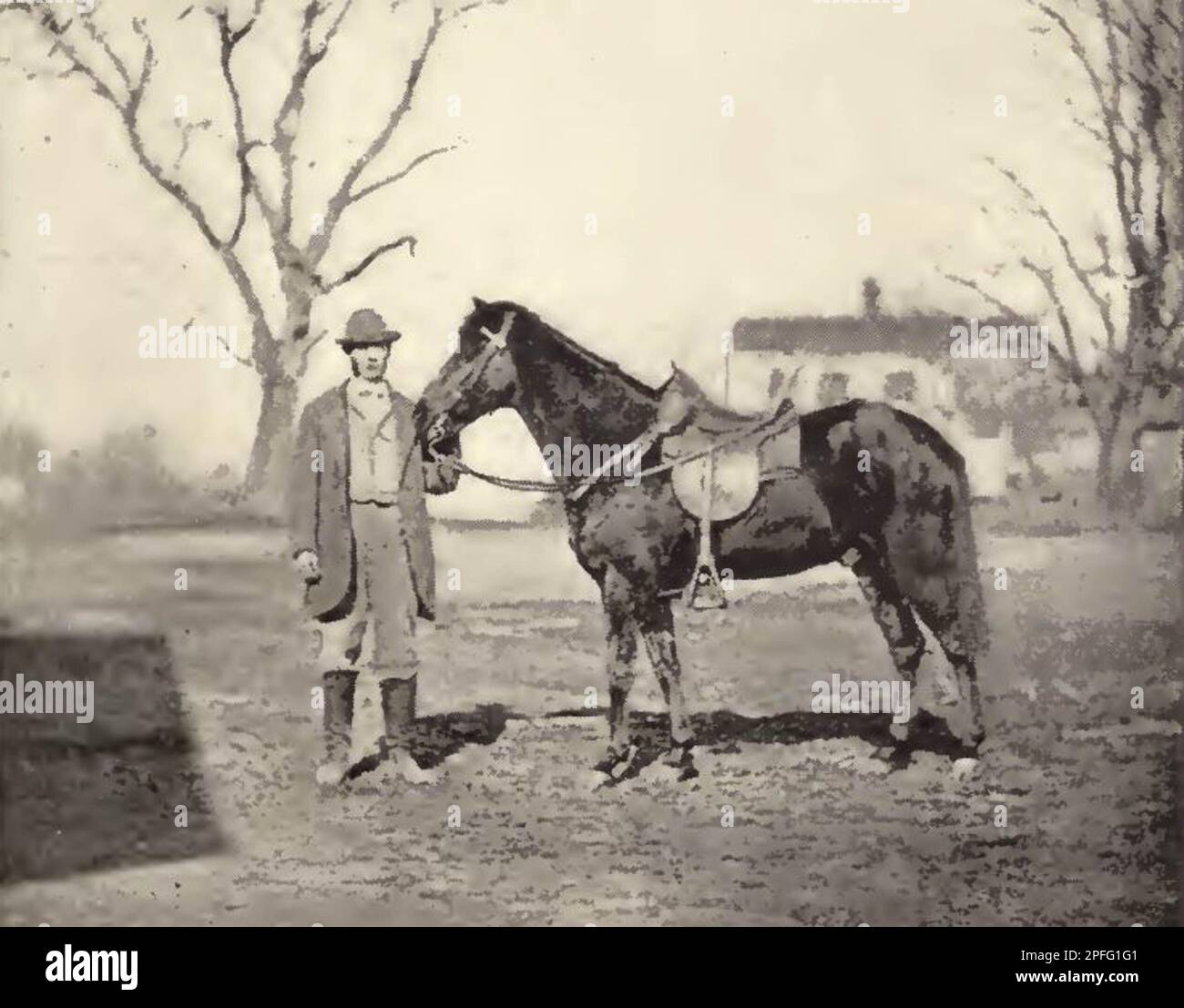 Photograph of horse named Jeff Davis, belonging to Ulysses S. Grant ...