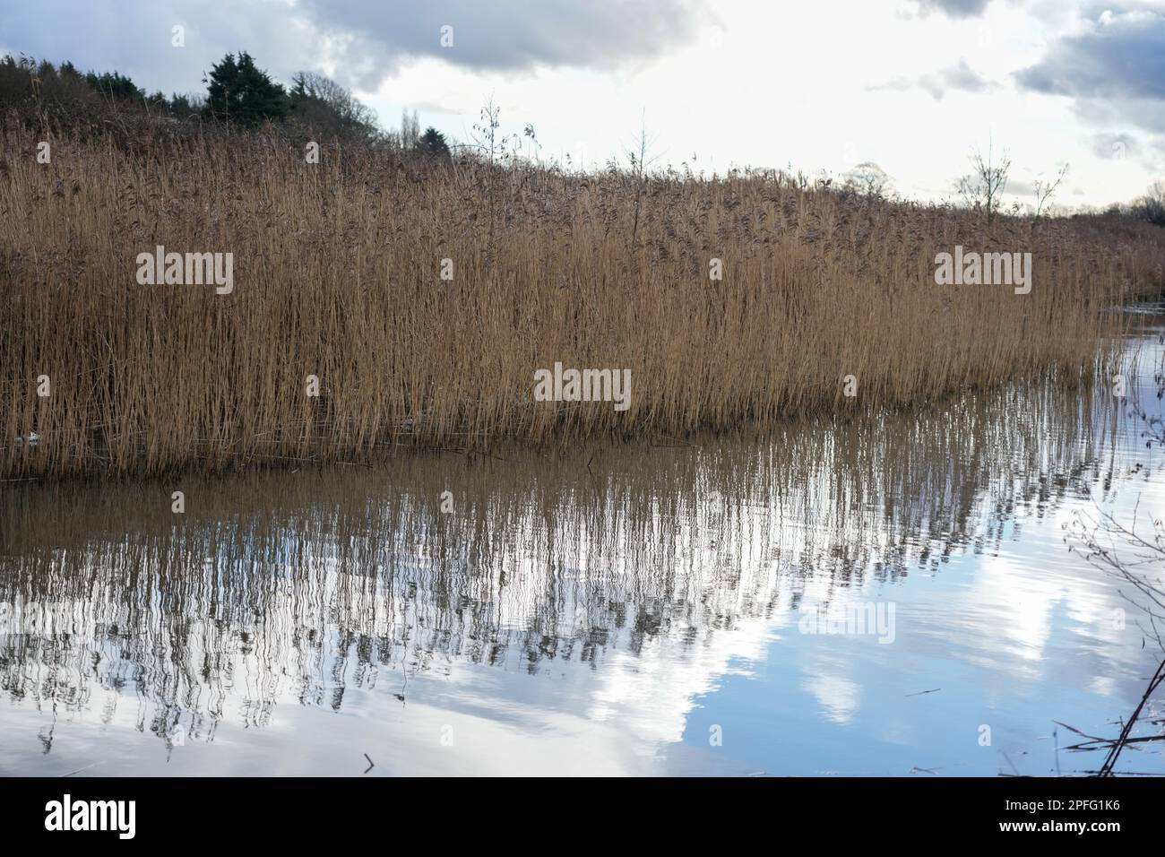 Rural merseyside canal hi-res stock photography and images - Alamy