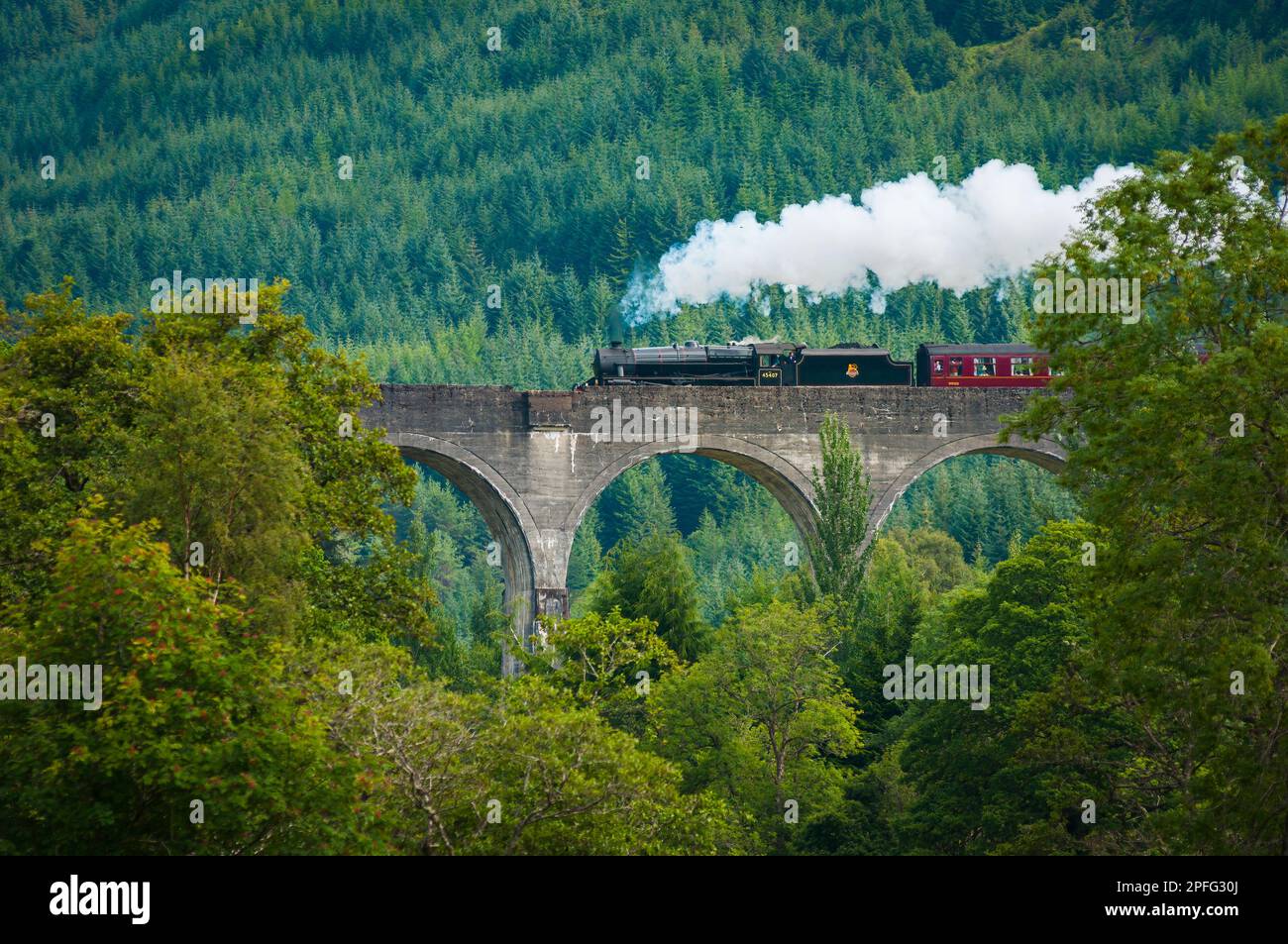 Old Steam Train Crossing The Glen Viaduct Surrounded By Vegetation In Scotland Jacobite Steam