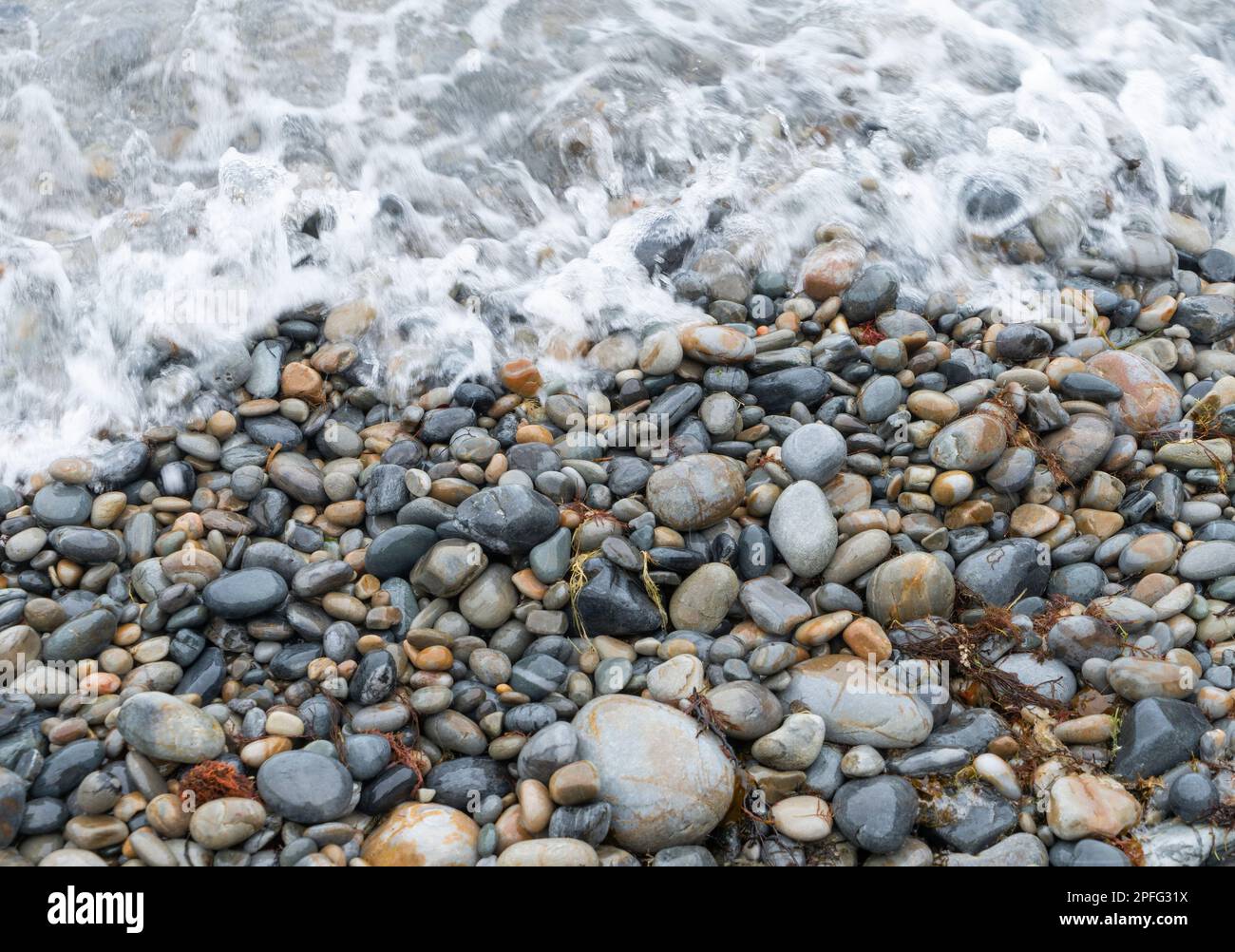 Set of rounded stones of different sizes and in gray tones on a beach ...
