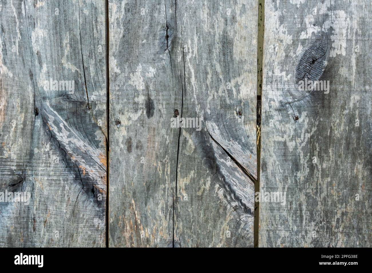 Close up view of weathered vertical pine boards in tones of grey Stock ...