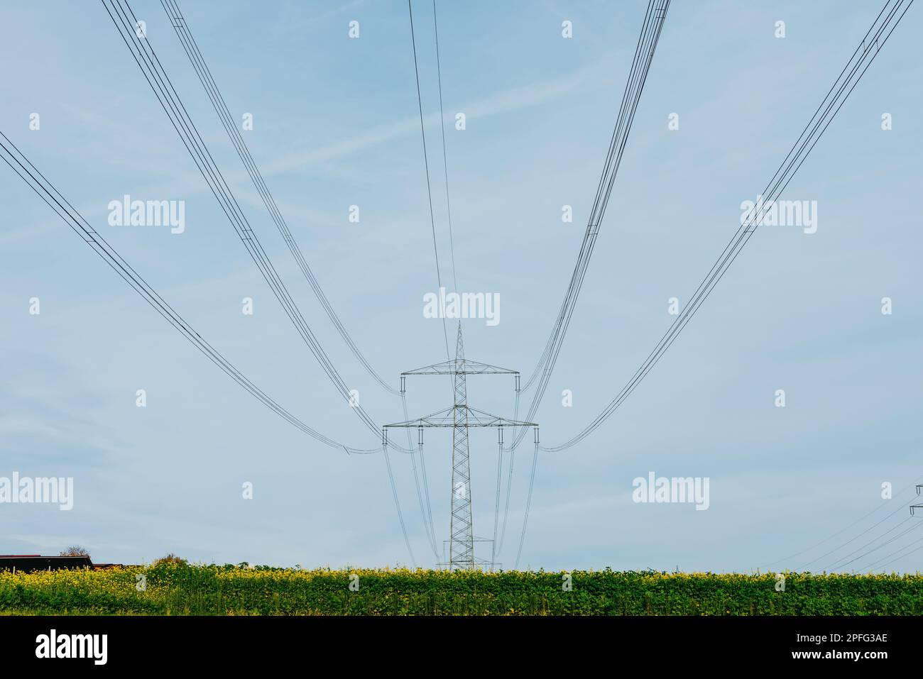 High voltage power lines leading through a green field. Transmission of ...