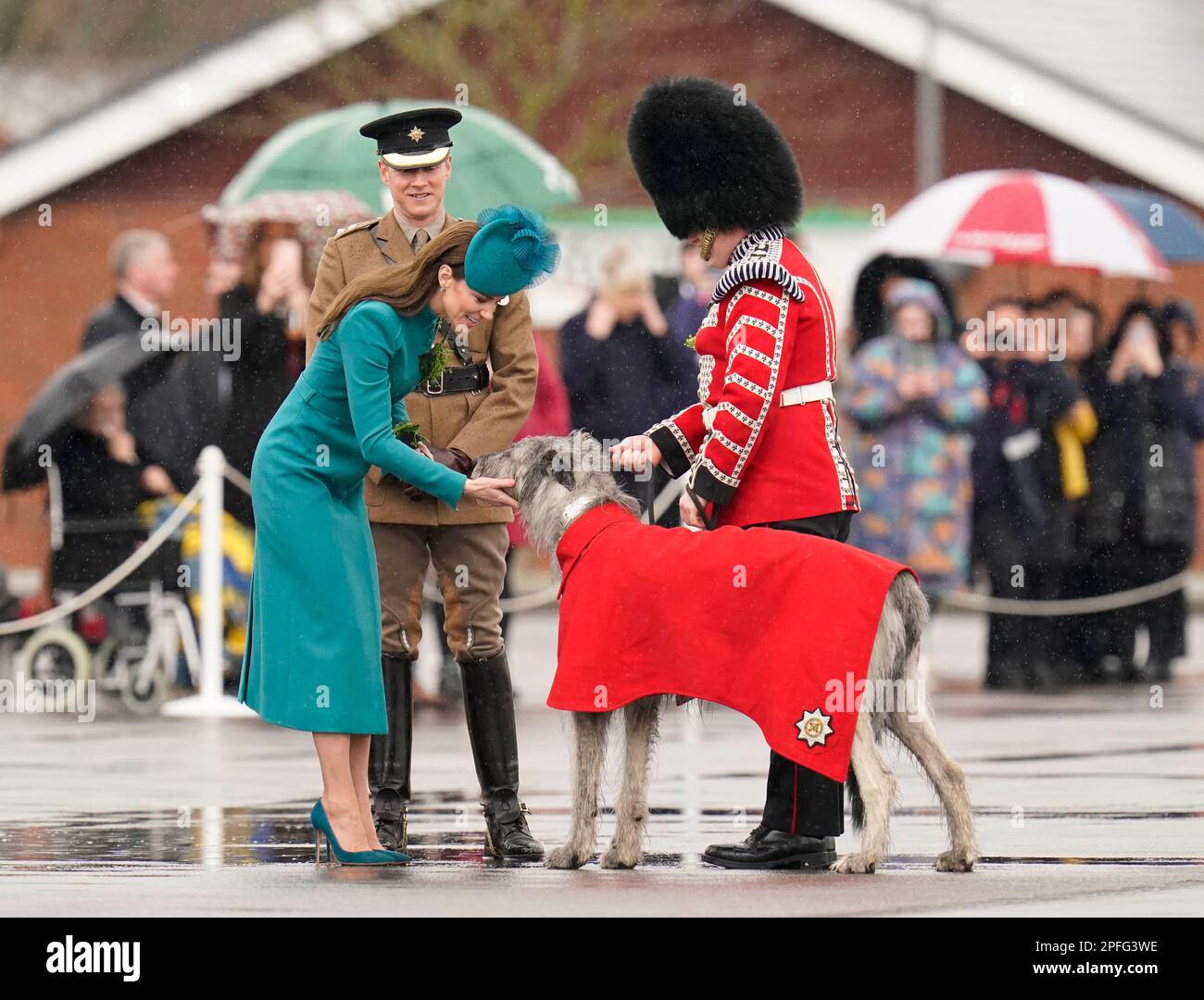 The Princess of Wales meets Irish Wolfhound mascot, Seamus and his ...