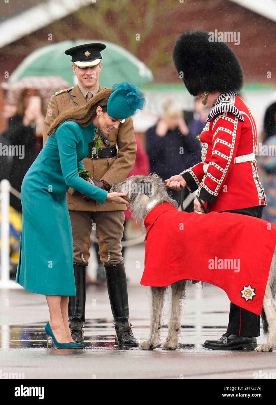 The Princess of Wales meets Irish Wolfhound mascot, Seamus and his ...