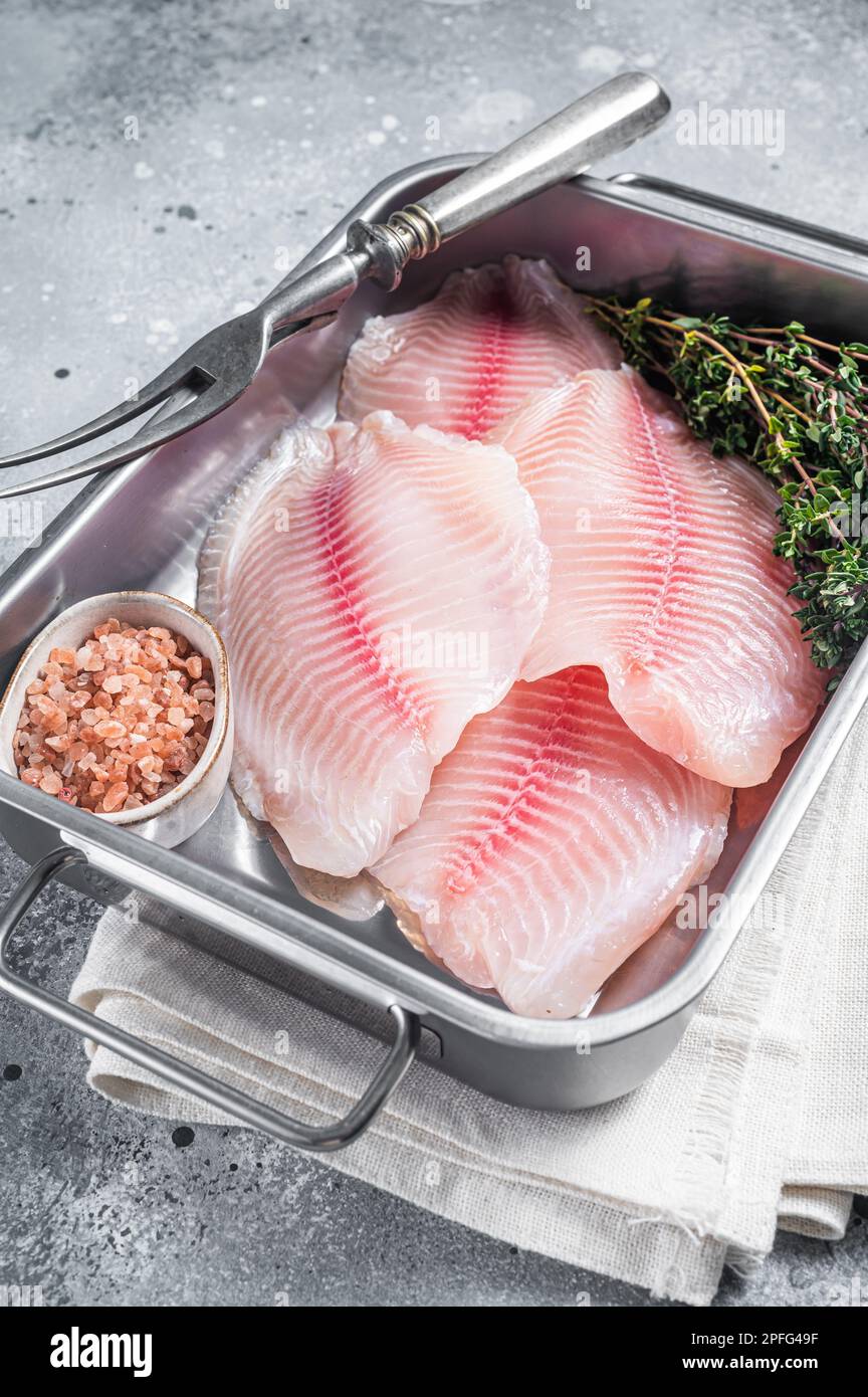 Raw white fish tilapia, uncooked fillet in kitchen tray with herbs ...