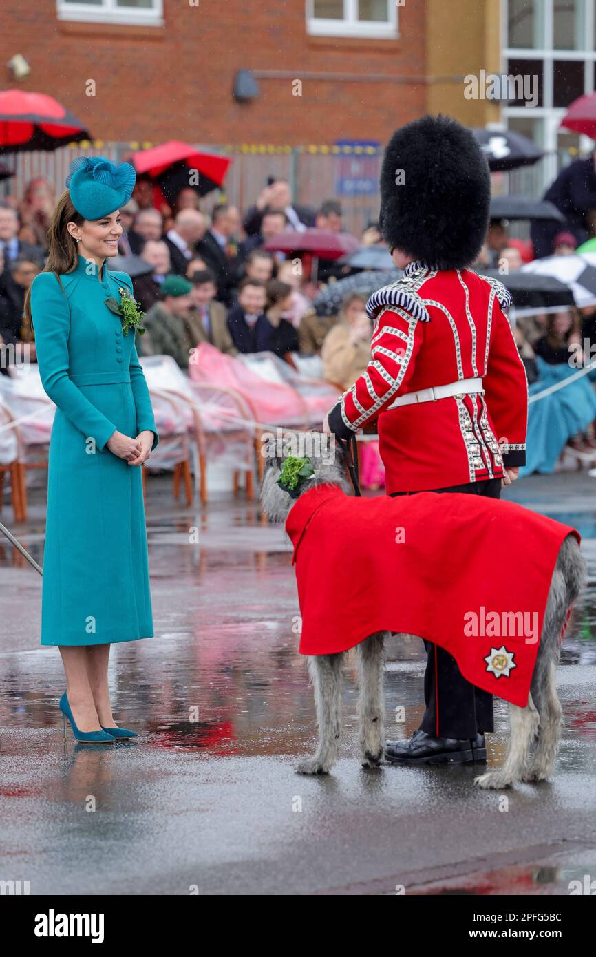 The Princess of Wales meets Irish Wolf Hound 'Turlough Mor' (aka Seamus ...