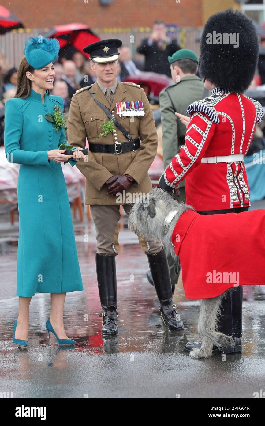 The Princess of Wales meets Irish Wolf Hound 'Turlough Mor' (aka Seamus ...