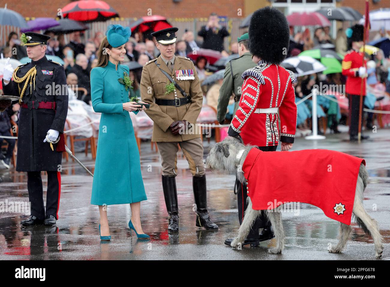 The Princess of Wales meets Irish Wolf Hound 'Turlough Mor' (aka Seamus ...