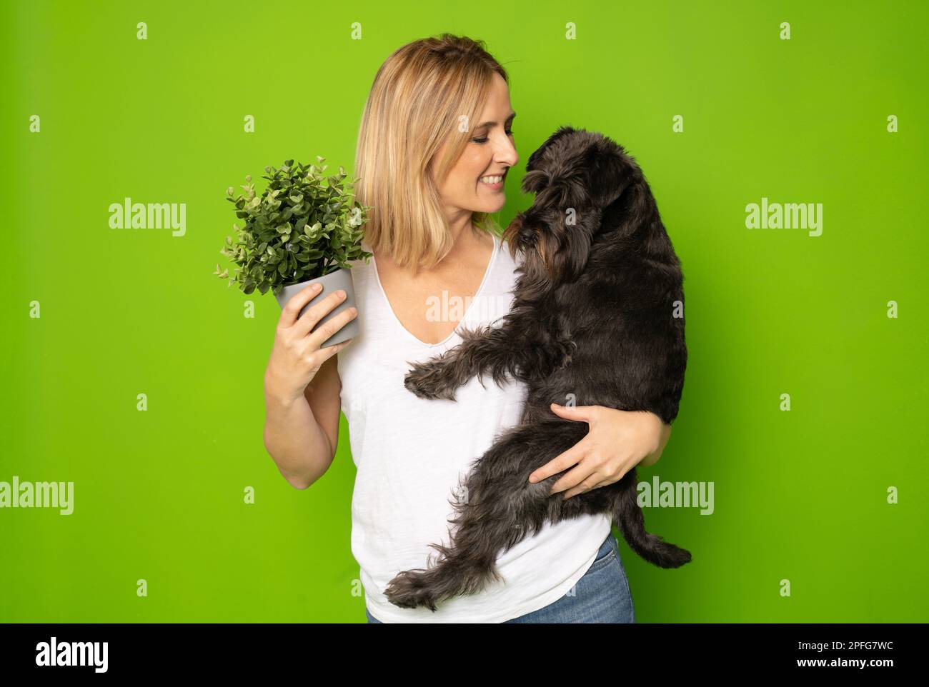 Portrait of attractive cheerful careful girl holding in hands doggy ...