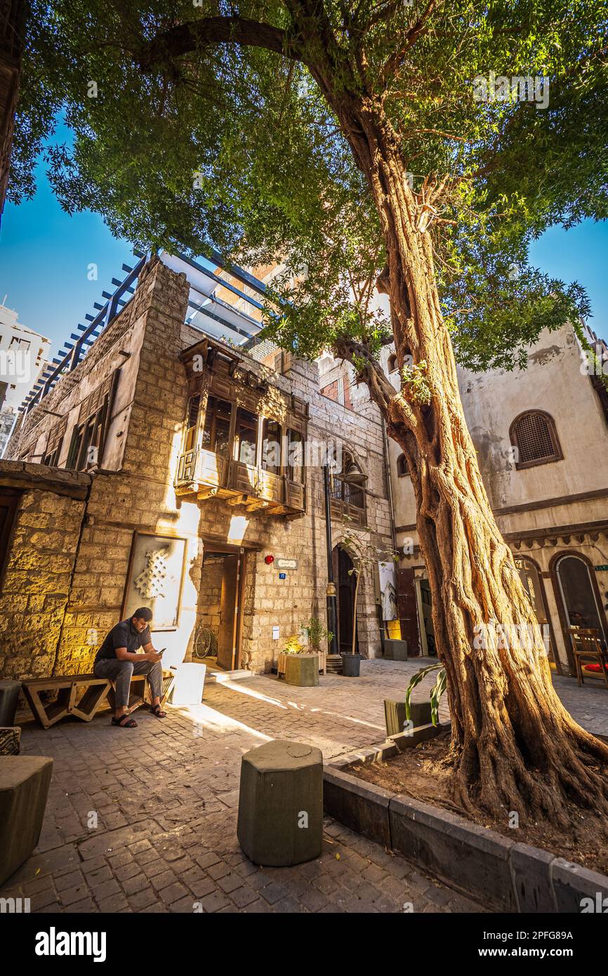 Residential garden saudi hi-res stock photography and images - Alamy