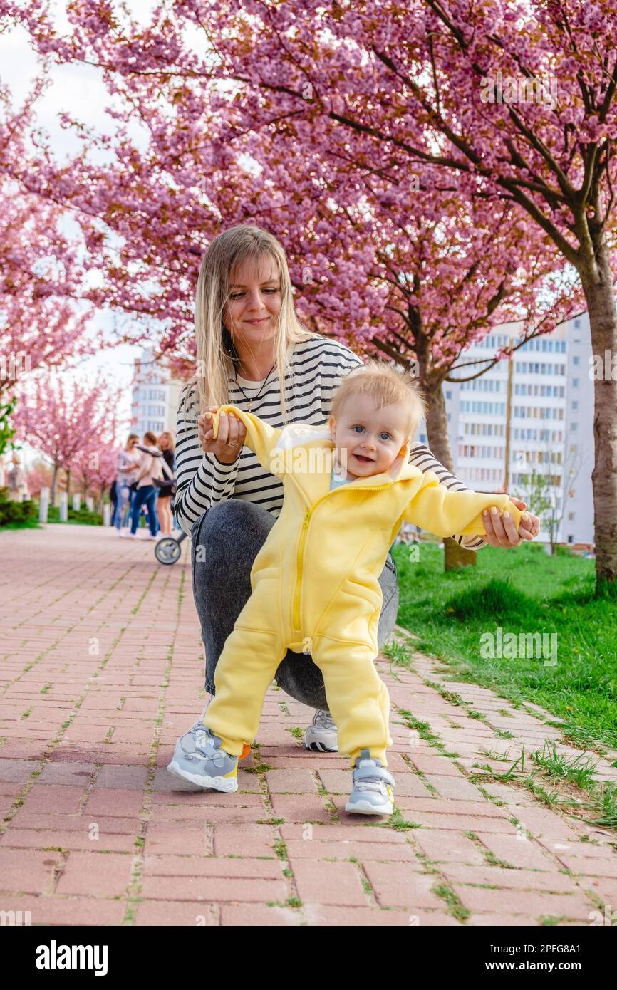 Mother teaching baby to walk surrounded by cherry blossoms Stock Photo ...