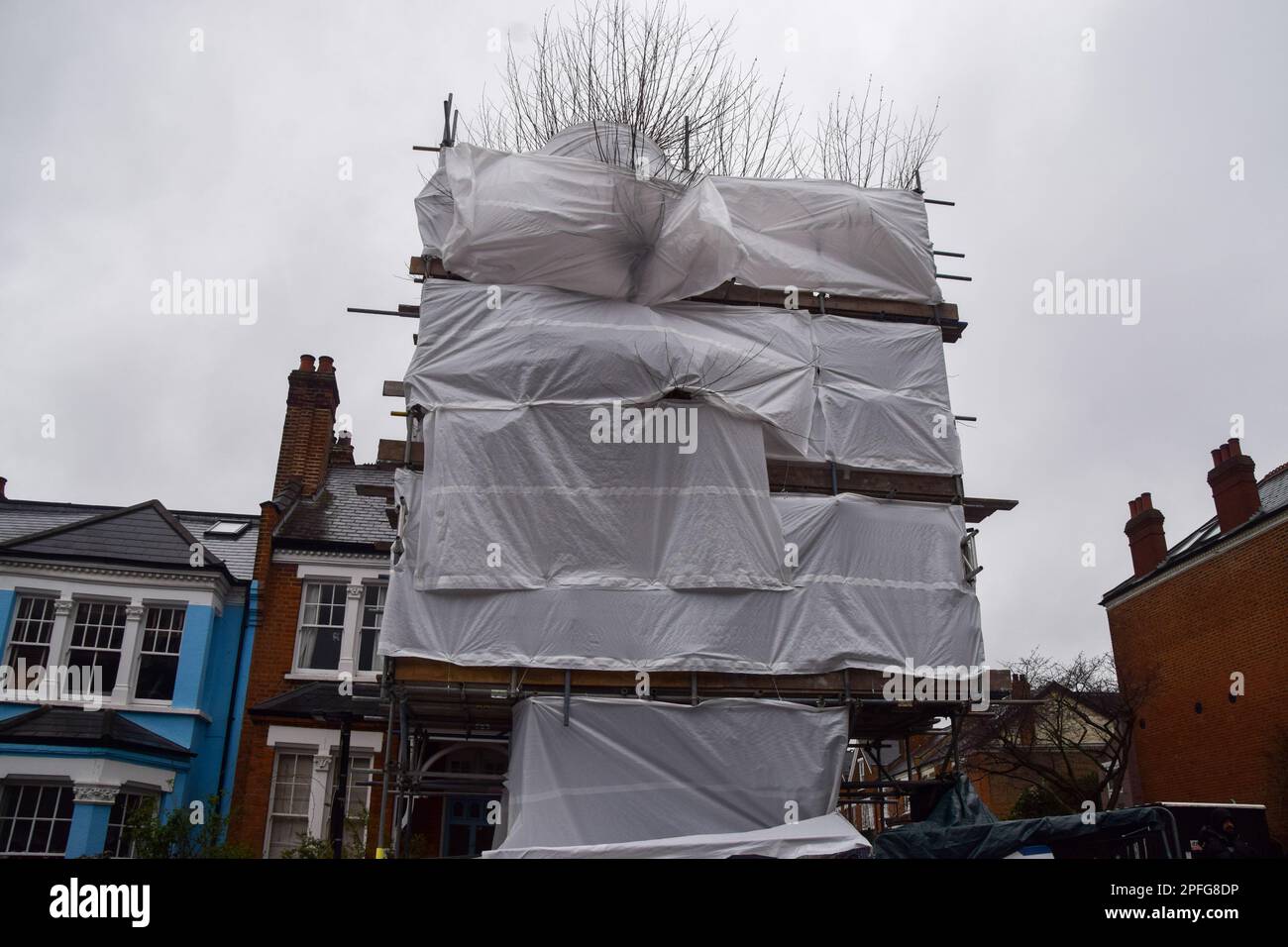 London, UK. 17th March 2023. The 120-year-old tree in the Harringay ...