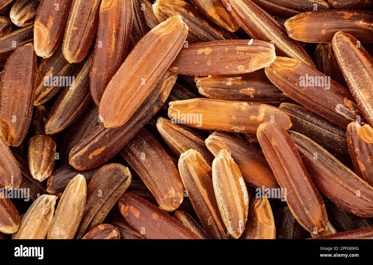 Wholegrain red rice hi-res stock photography and images - Alamy