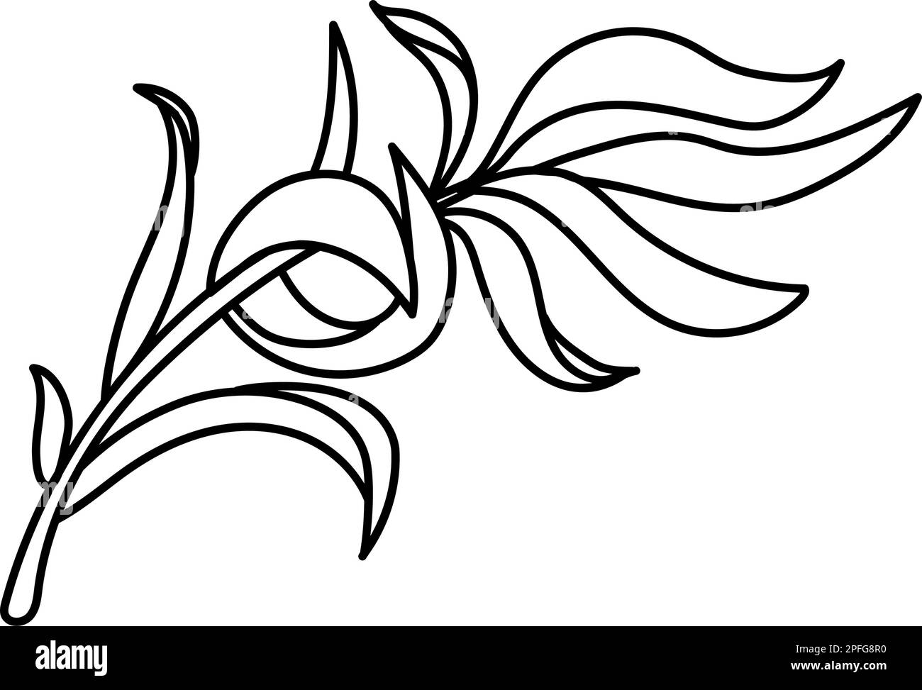 Leaves branch line art vector Stock Vector Image & Art - Alamy