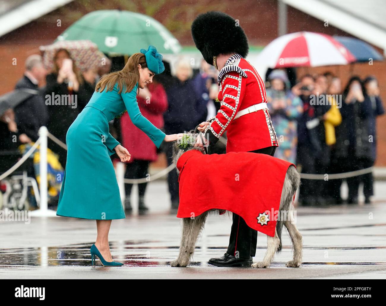 The Princess of Wales places sprigs of shamrock onto the collar of ...