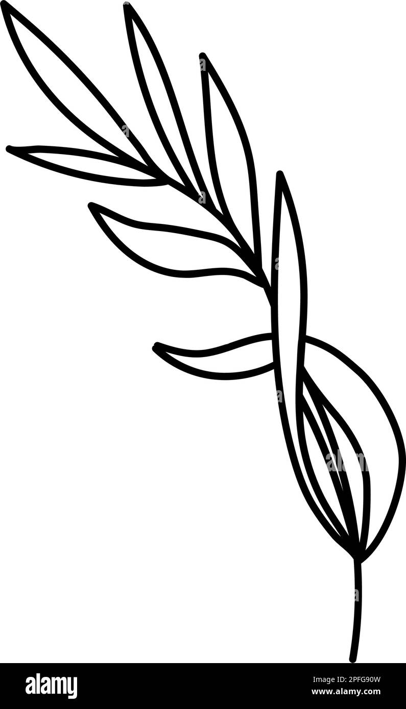 Leaves branch line art vector Stock Vector Image & Art - Alamy