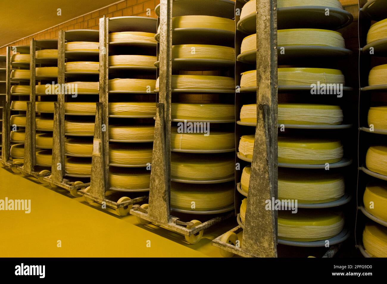 Switzerland, Canton Bern, Affolter Im Emmental, dairy production of ...
