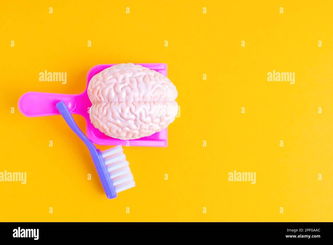 Human brain, toy dust pan and brush isolated on a vibrant yellow ...