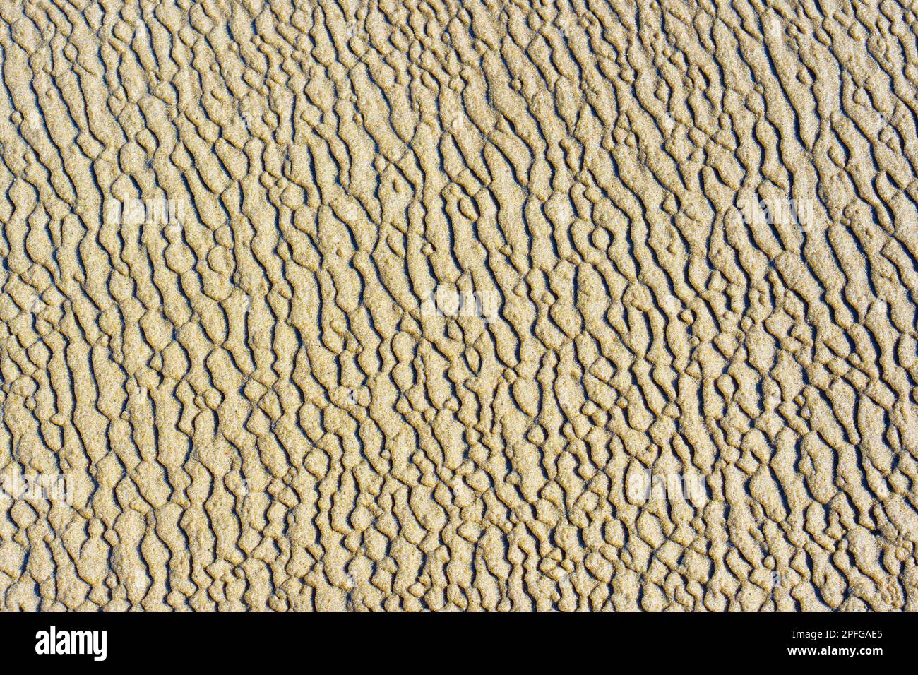 Featuring intricate wave patterns hi-res stock photography and images ...