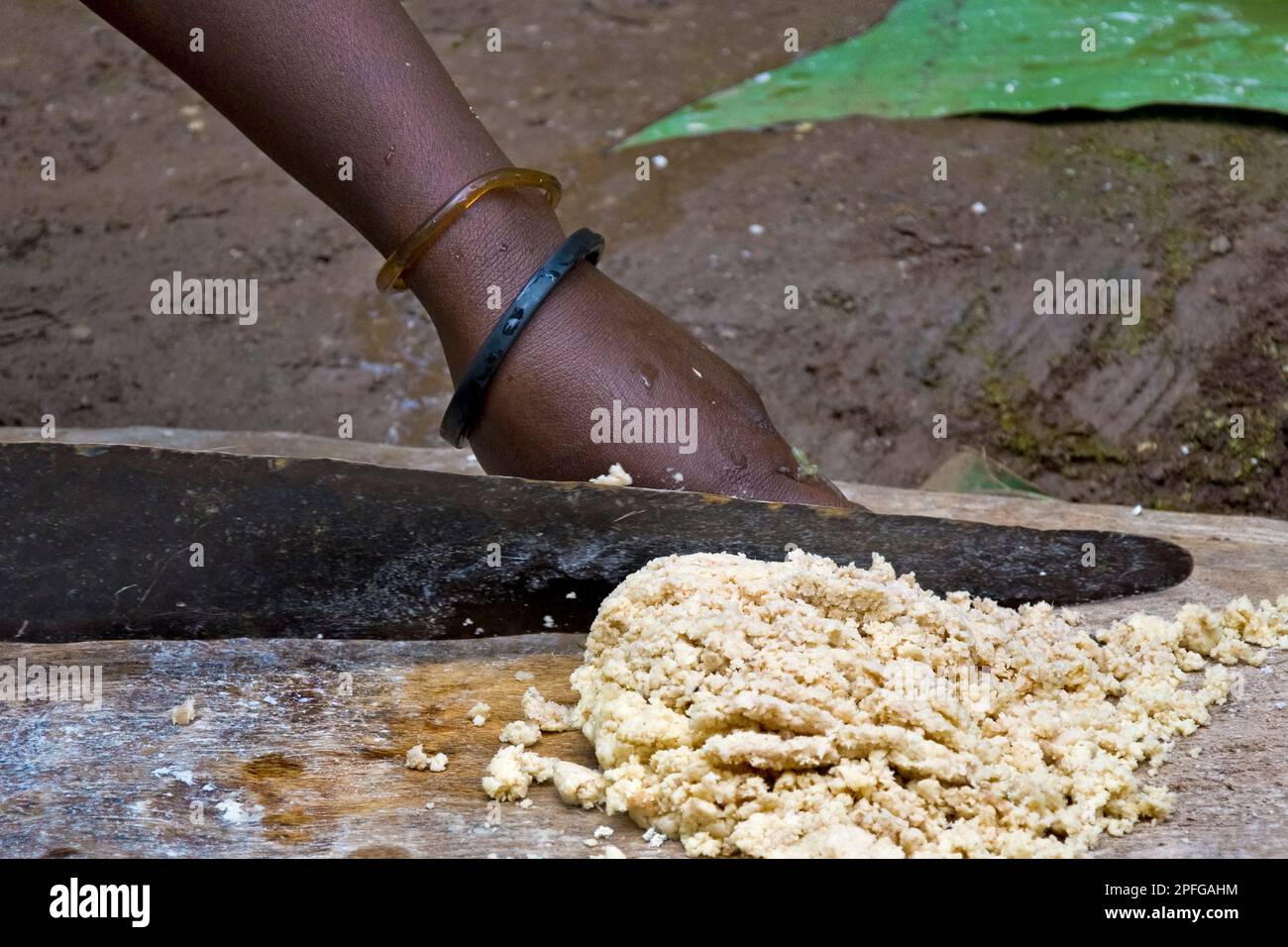 Processing of the false banana, Dorzè village, Chencha, Ethiopia Stock ...