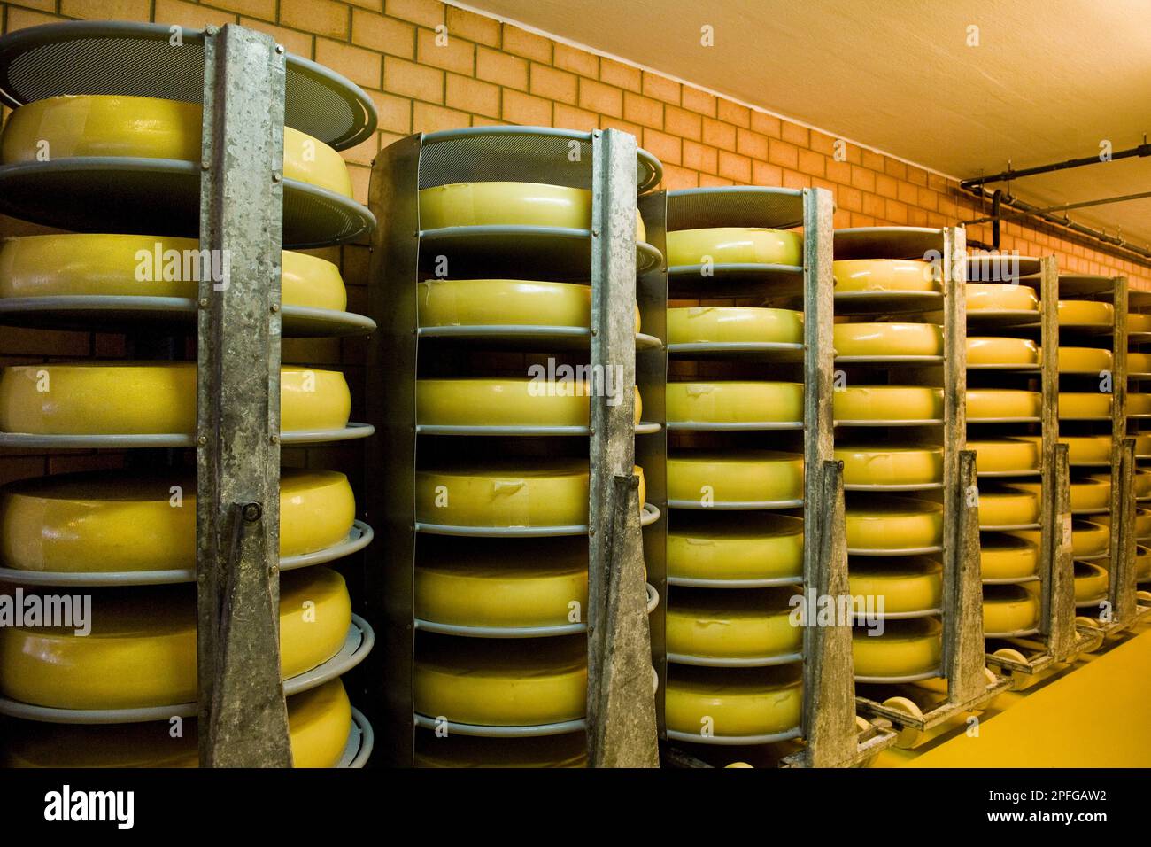 Switzerland, Canton Bern, Affolter Im Emmental, dairy production of ...
