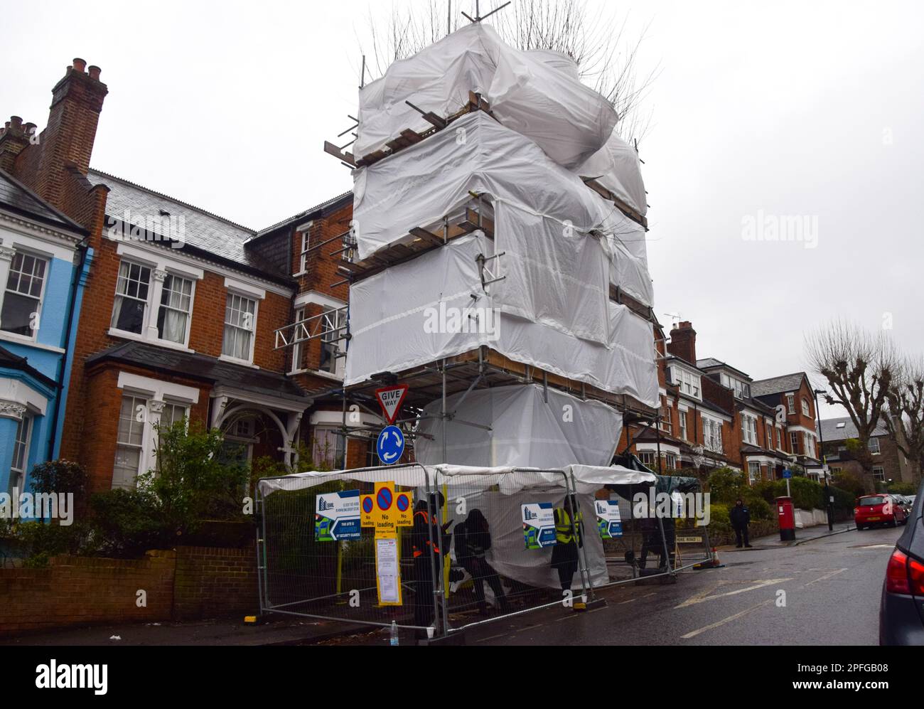 London, England, UK. 17th Mar, 2023. The 120-year-old tree in the ...