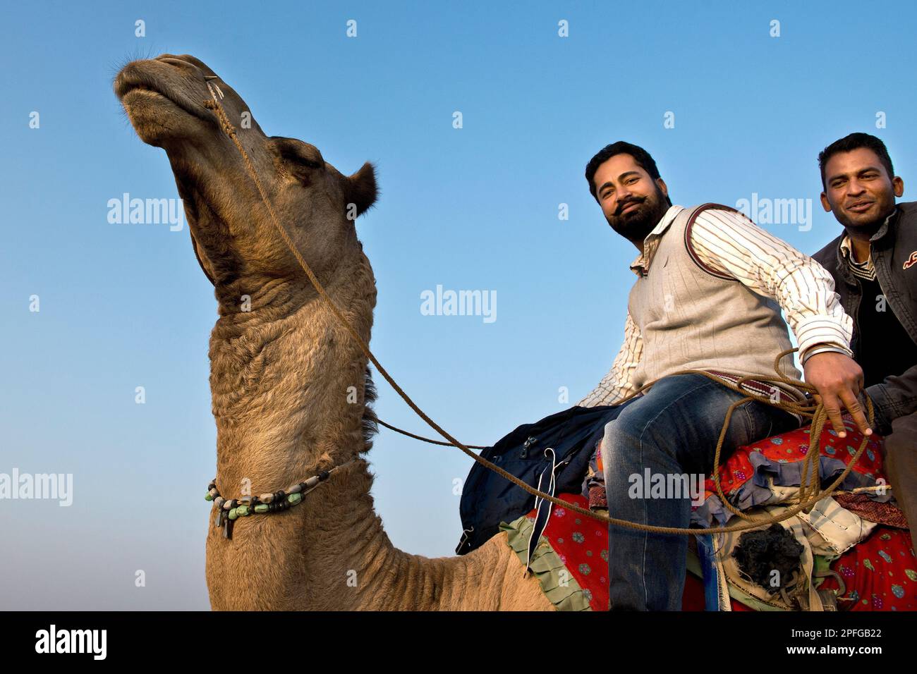 India, Rajasthan, Jaisalmer, camel ride desert Stock Photo - Alamy