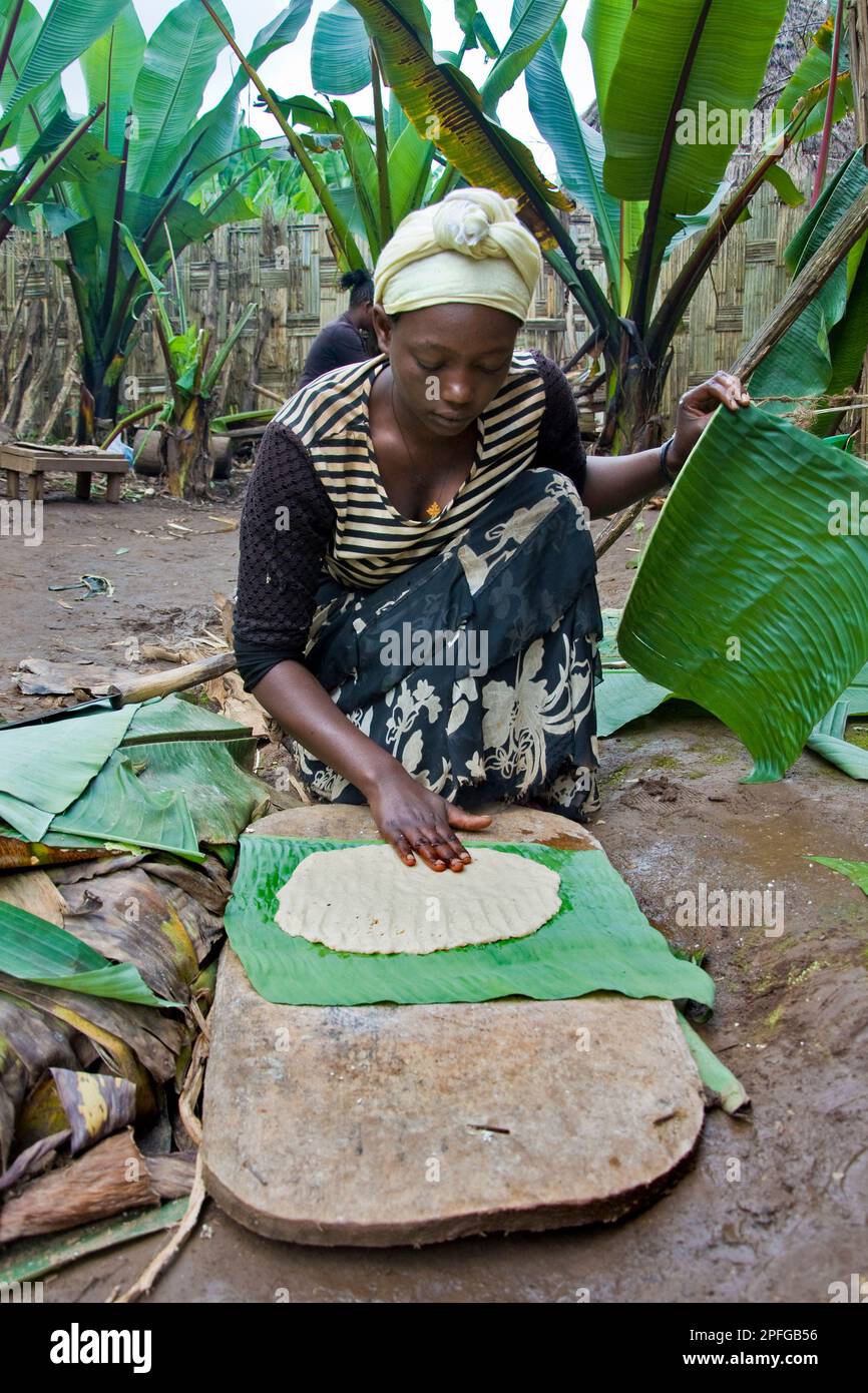 Processing of the false banana, Dorzè village, Chencha, Ethiopia Stock ...