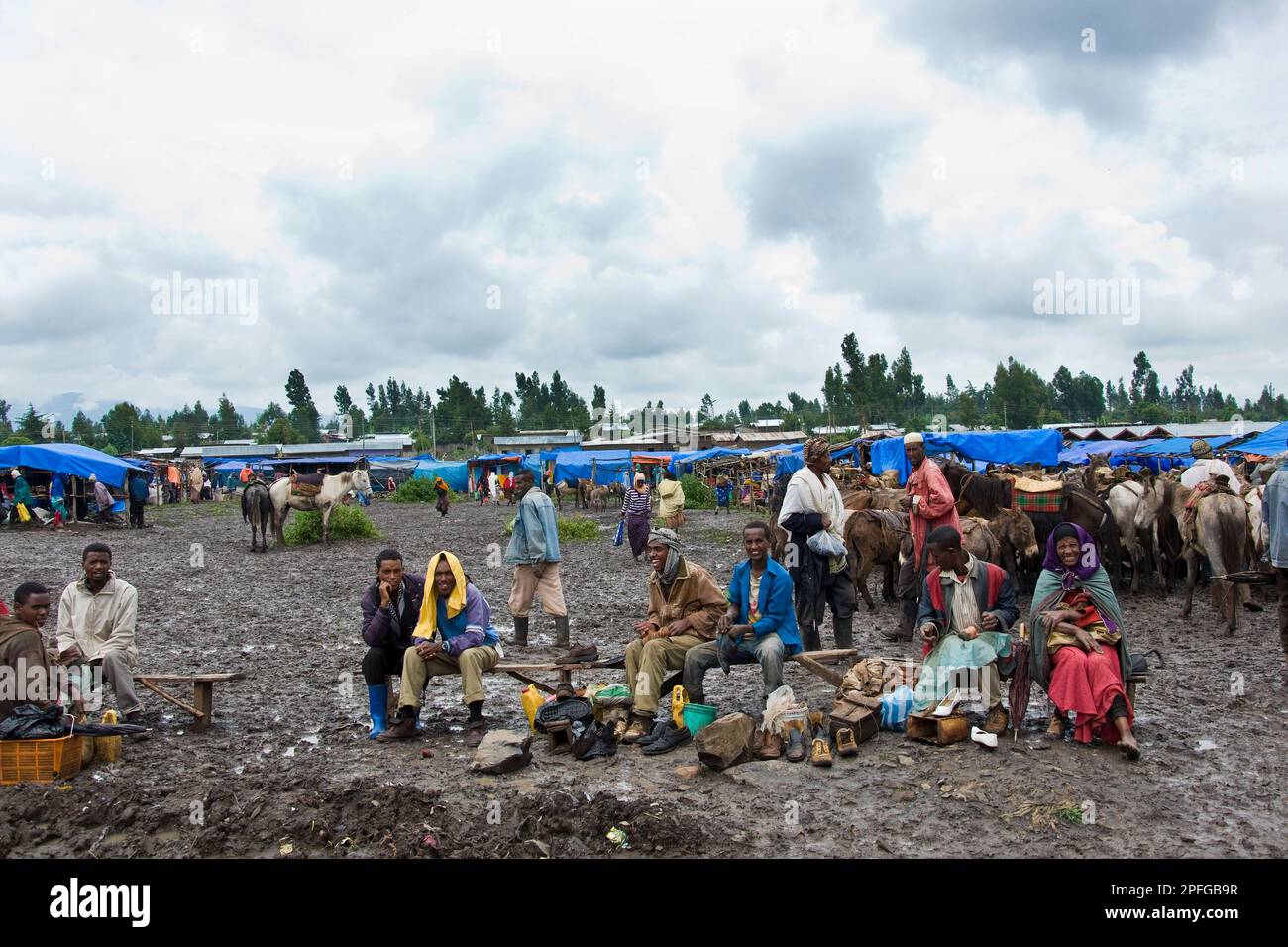 Traditional market, Adaba, Bale plateau, Ethiopia Stock Photo - Alamy