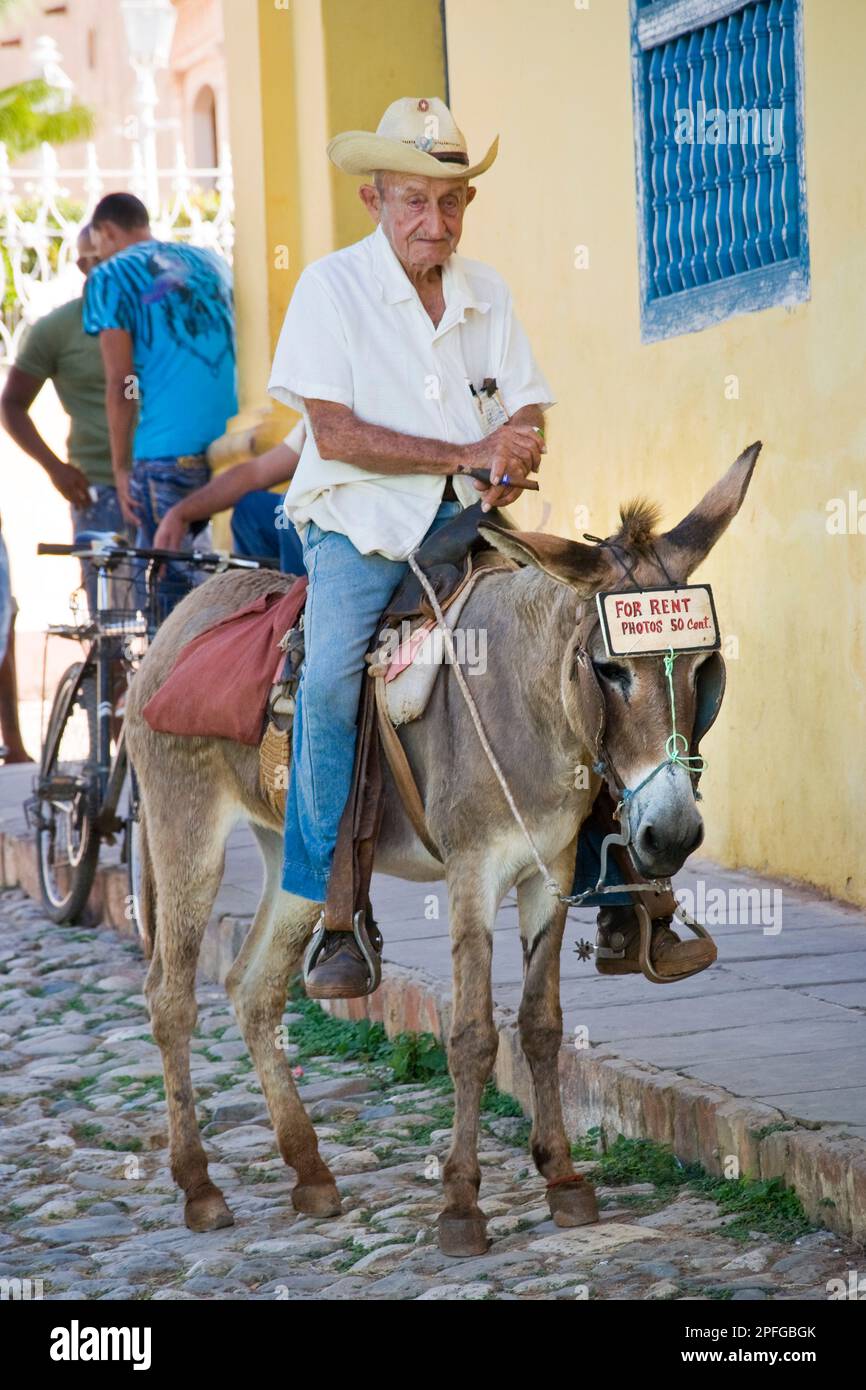 Cuba, Trinidad, donkey Stock Photo - Alamy