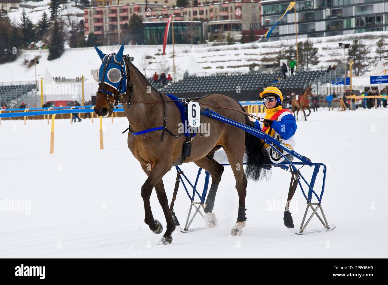Switzerland, St. Moritz, White turf race Stock Photo - Alamy