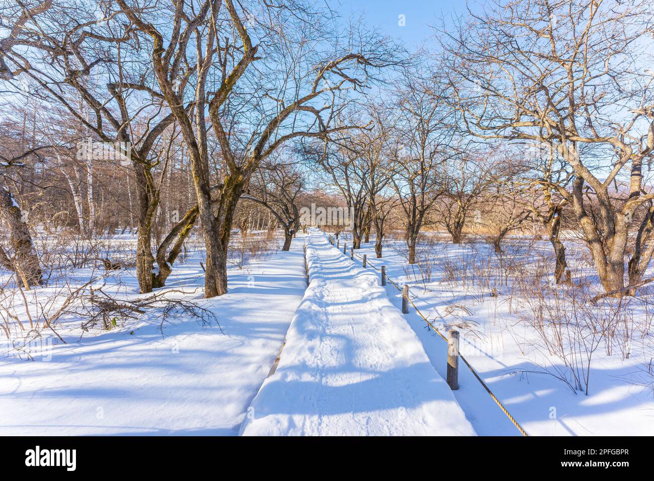 Nikko cover in snow at winter, Tochigi, Japan Stock Photo - Alamy