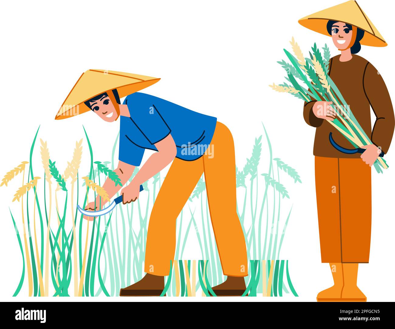 harvesting rice vector Stock Vector Image & Art - Alamy