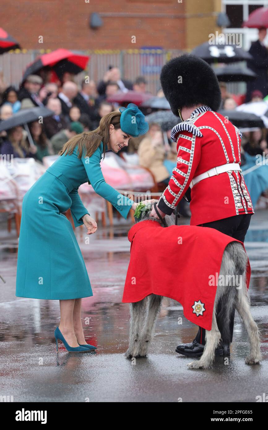 The Princess of Wales presents Irish Wolf Hound 'Turlough Mor' (aka ...