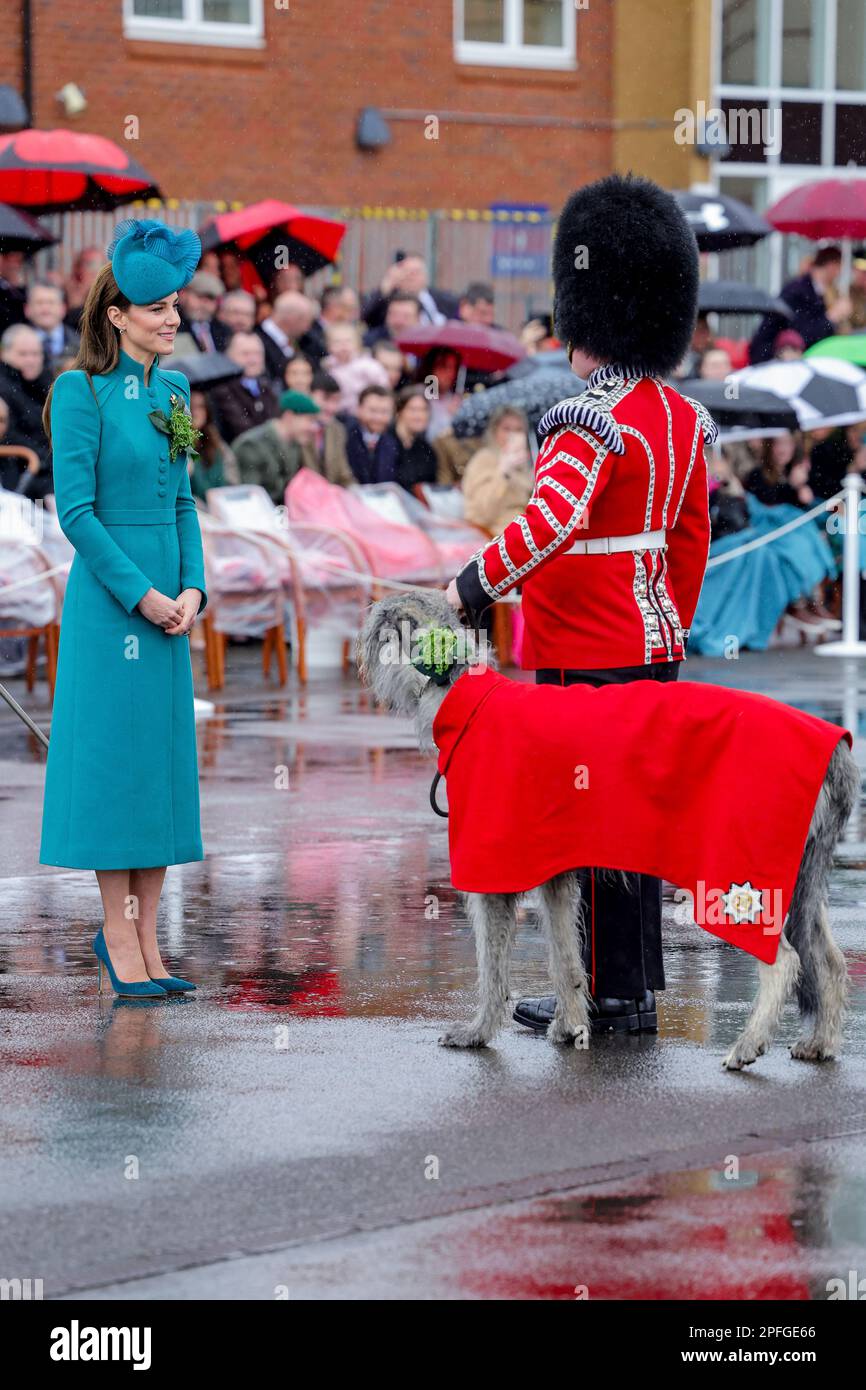 The Princess of Wales presents Irish Wolf Hound 'Turlough Mor' (aka ...