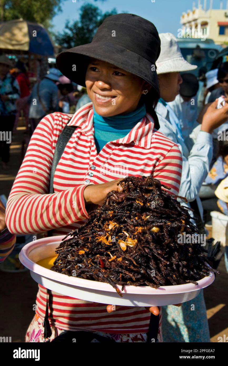 Fried spiders, Skun market, Surrounding of Siem Reap, Cambodia Stock ...