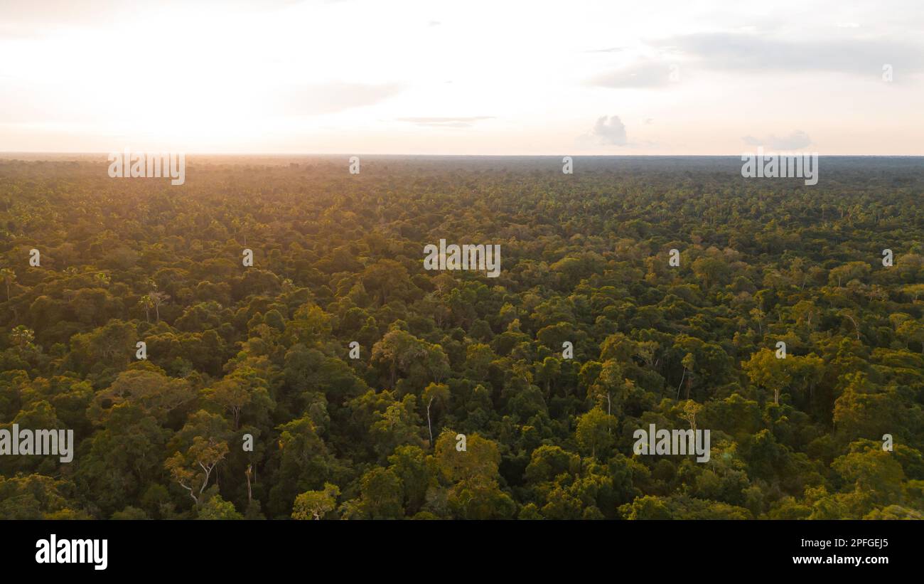 The Nanay River, one of the most important freshwater channels in the ...