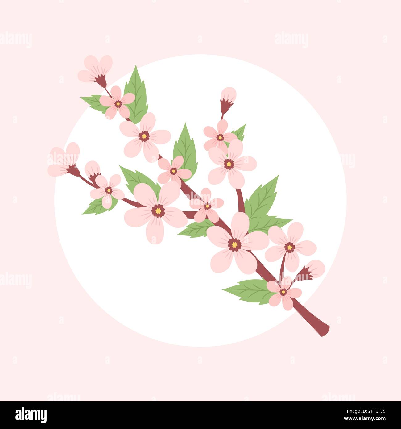 Cherry blossom branch. Spring vector illustration in a circular shape ...